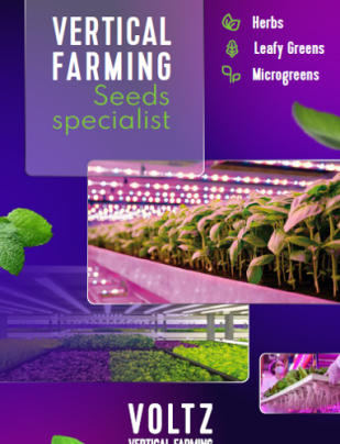 Our catalogues | Graines Voltz - Vertical Farming